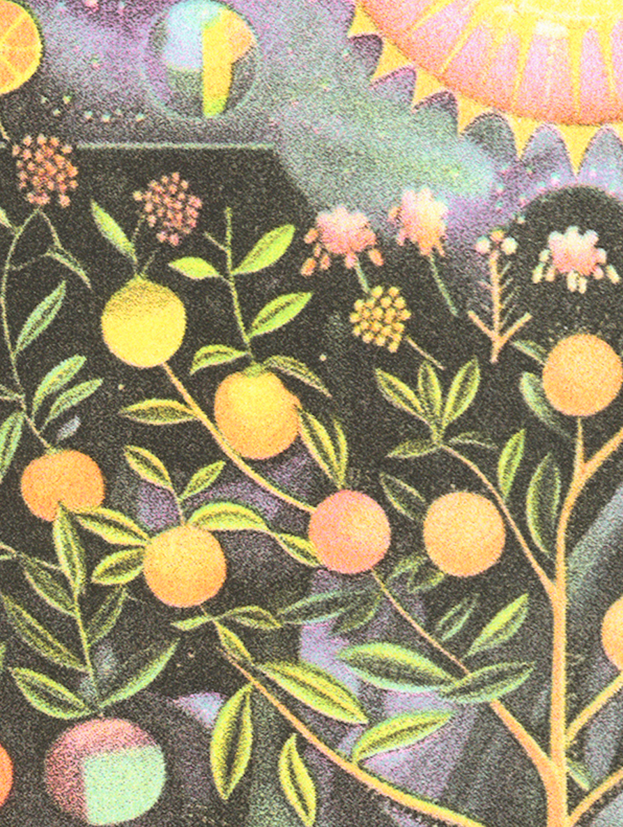 Apples of the Sun Risograph Print – Gift Horse